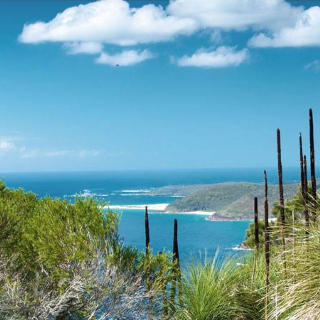 Explore Yacaaba Headland Walking Track in Hawks Nest - Tea Gardens Real Estate Holidays