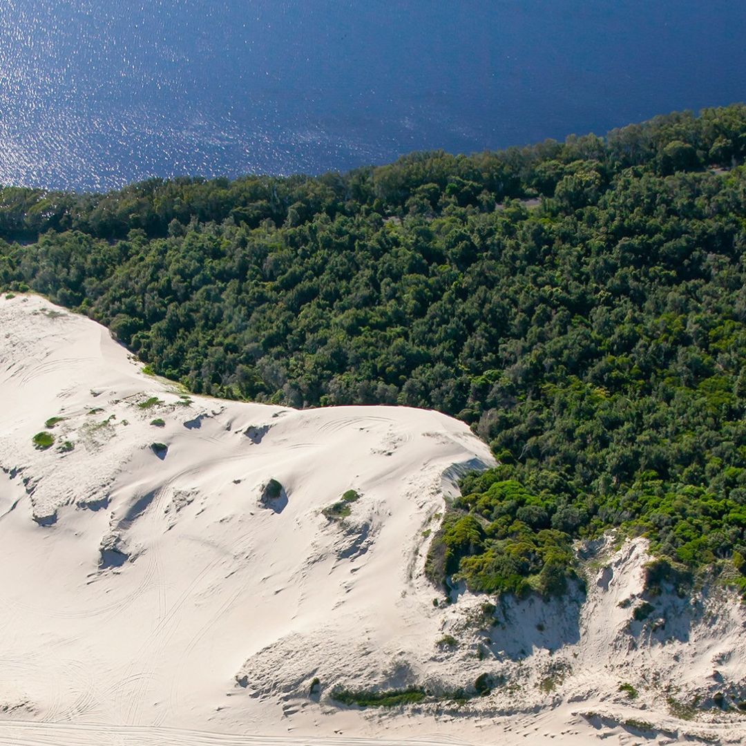 Your Guide to Dark Point – Hawks Nest’s Coastal Gem - Tea Gardens Real ...